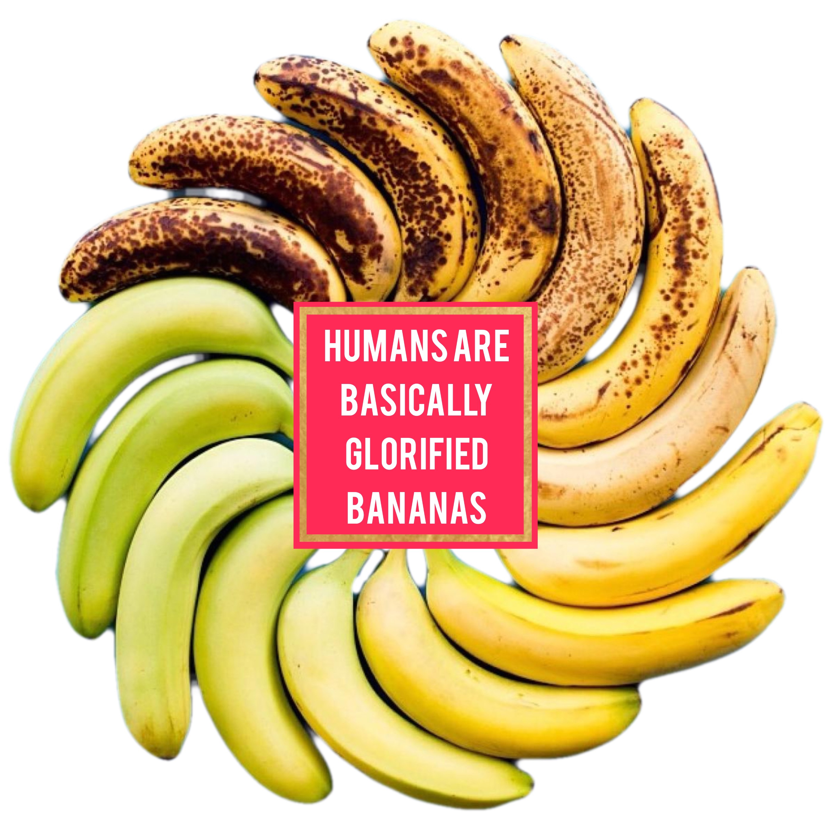 Humans are Bananas – ᖇEᑕᒪᗩIᗰEᗪ GIᖇᒪ